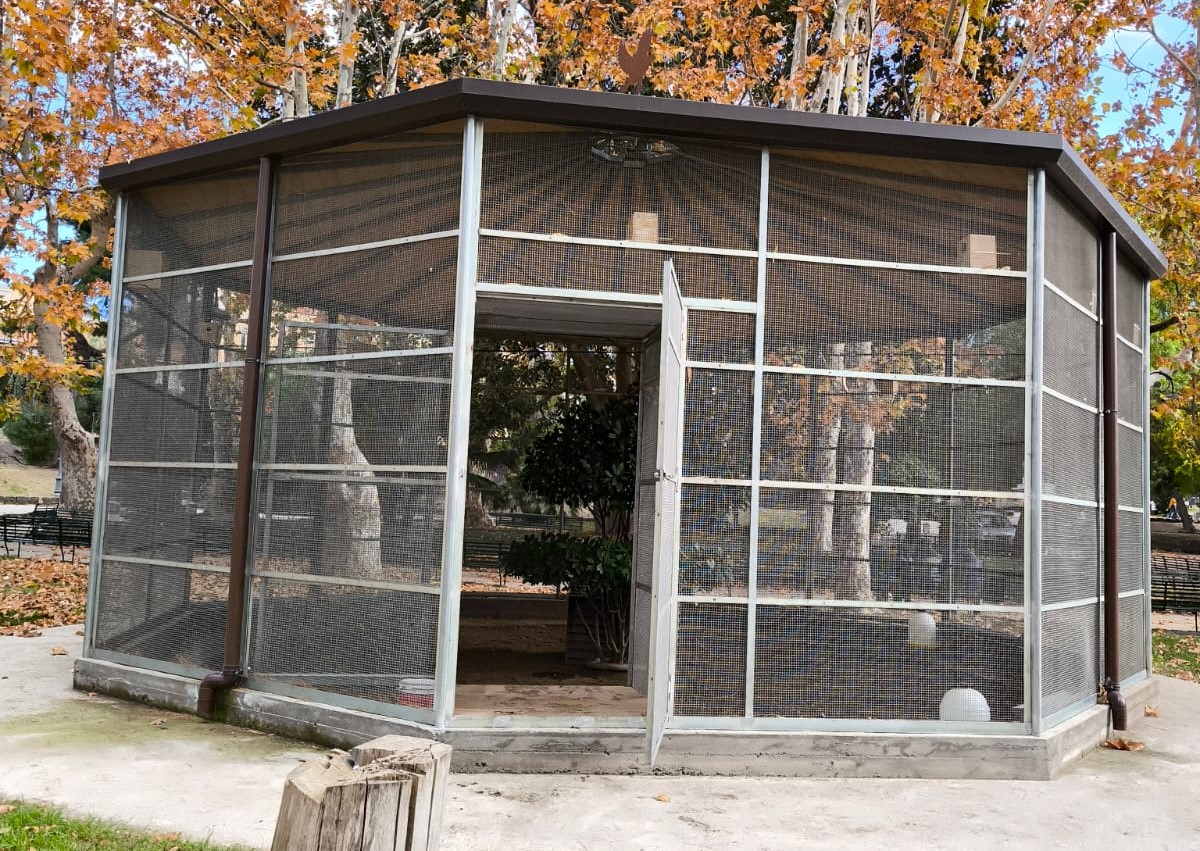 Adrano. Il 24 dicembre alla villa comunale inaugurazione della voliera ...